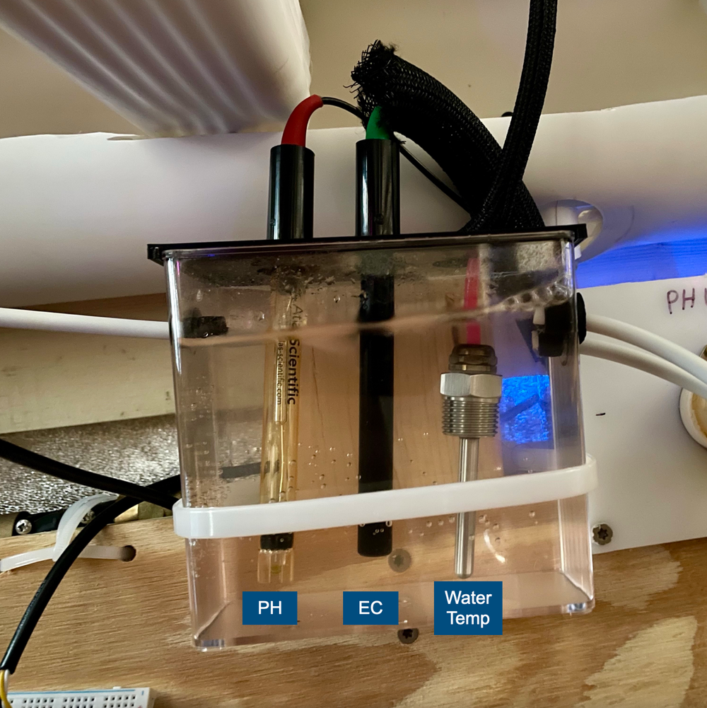 NFT Hydroponic Build